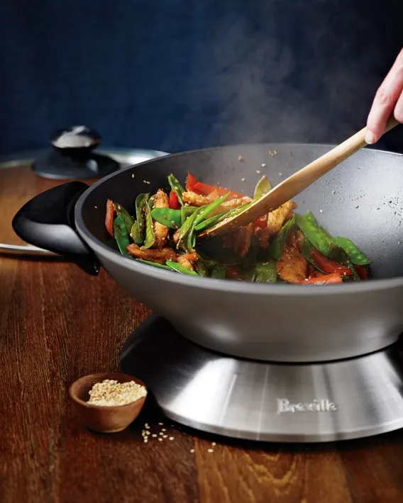 Top Picks in Electric Woks | Kitchen-Overlook.com
